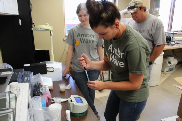 Careers - Amber Wave